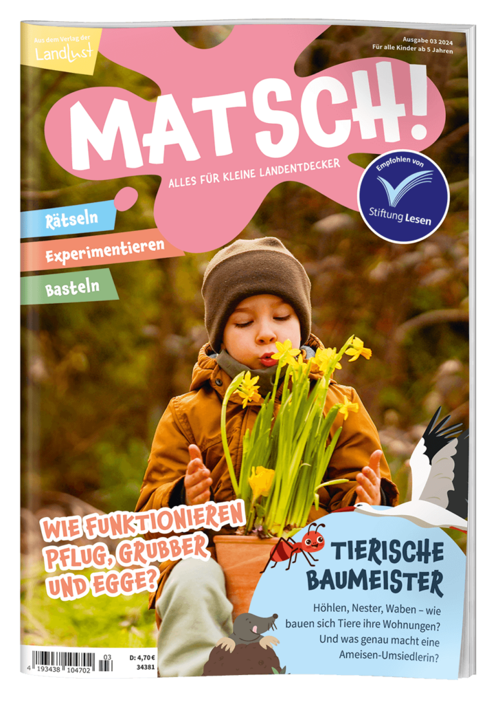 Gewinnspiel - MATSCH!